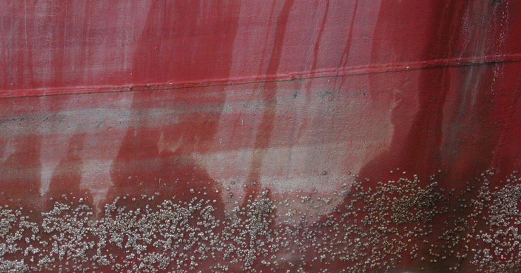 Barnacle biofouling threatens net-zero | News | Motorship