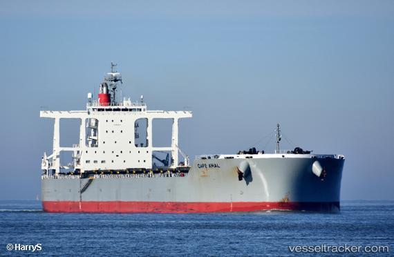 Capesize bulker in biofuel success | News | Motorship