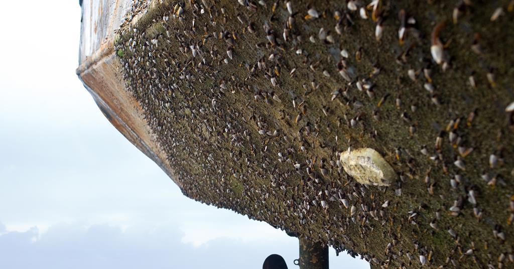 Biofouling attention turns from tank to hull | News | Motorship