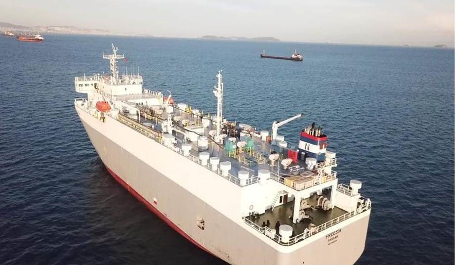 Approval for 2nd livestock carrier conversion | News | Motorship
