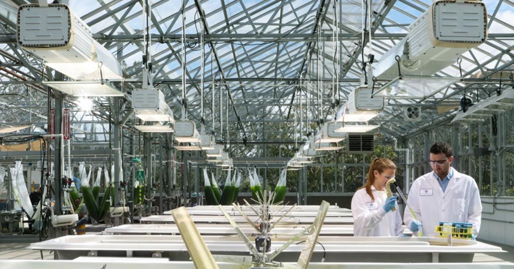 ExxonMobil compliant with ISO 8217:2017 | News | Motorship