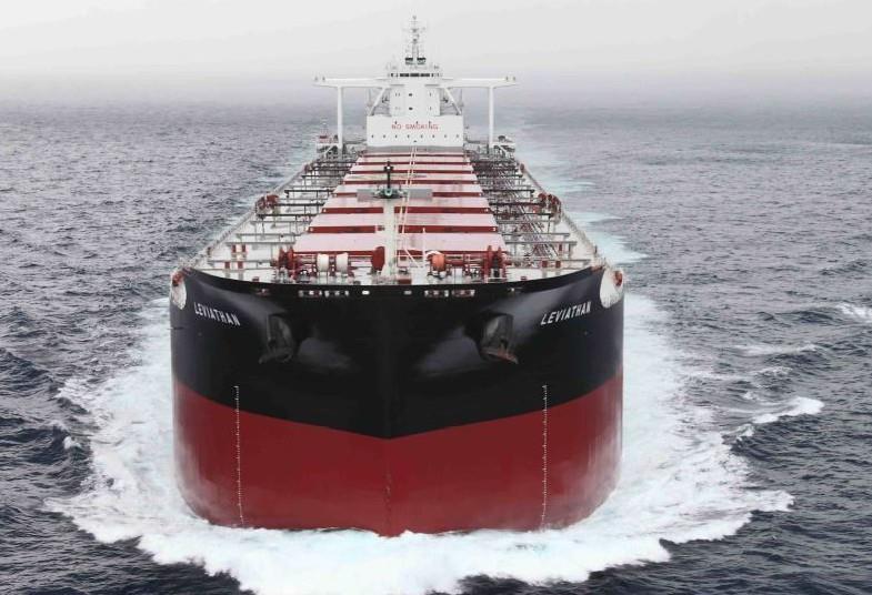 Star Bulk in renewable energy installation study | News | Motorship