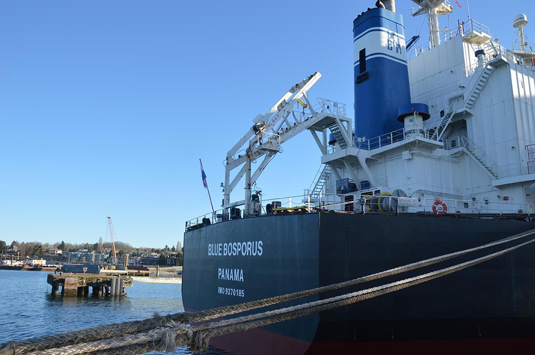 Sling failure caused accidental release during lifeboat drill | News ...